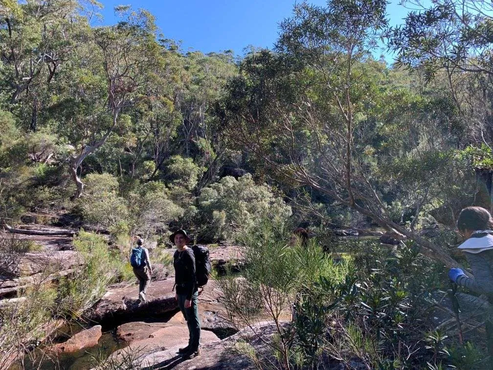 Kangaroo Creek Loop, Royal National Park
