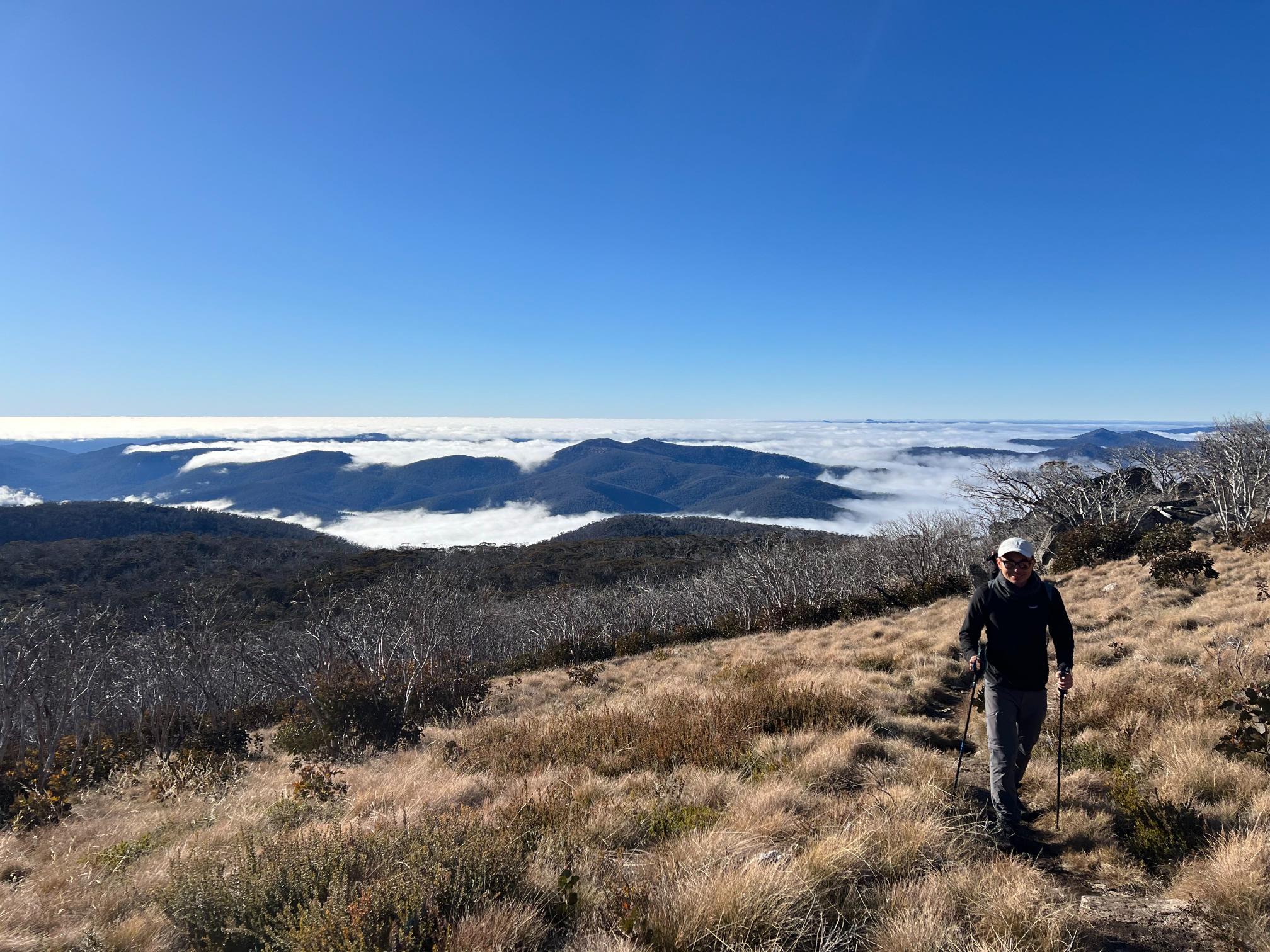Mt Gingera, Ginger Ale, Little Ginini & Mt Ginini