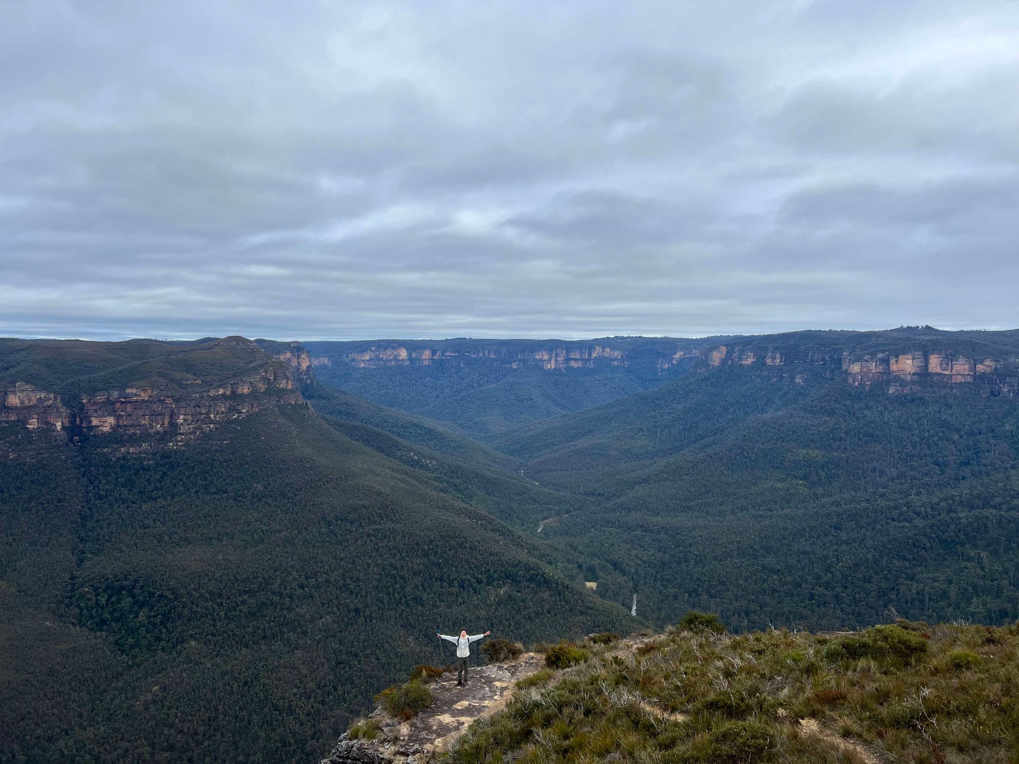 Mt Banks to Mt Caley - Blue Mountains National Park