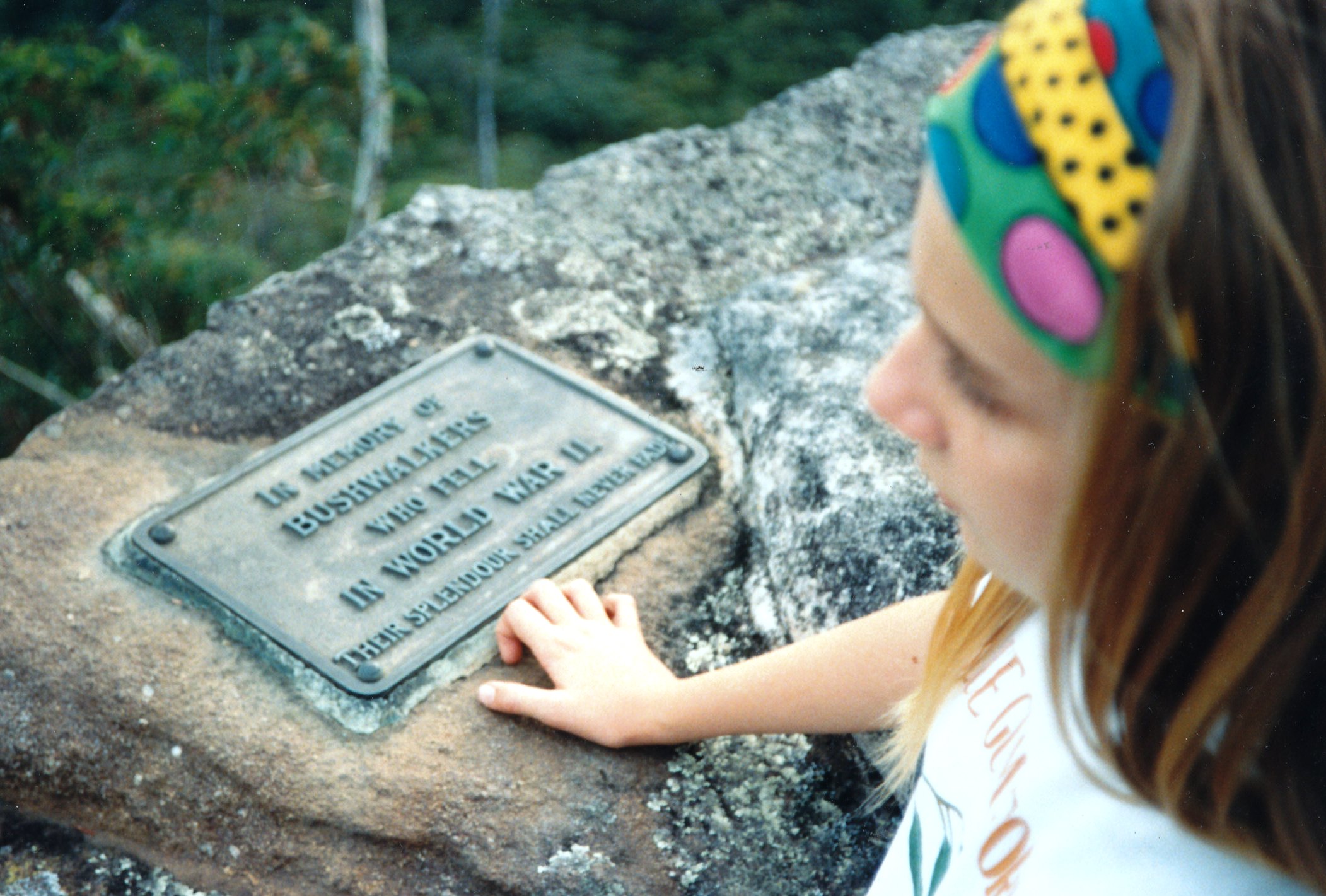 Commemorate the ANZs - Hikezilla